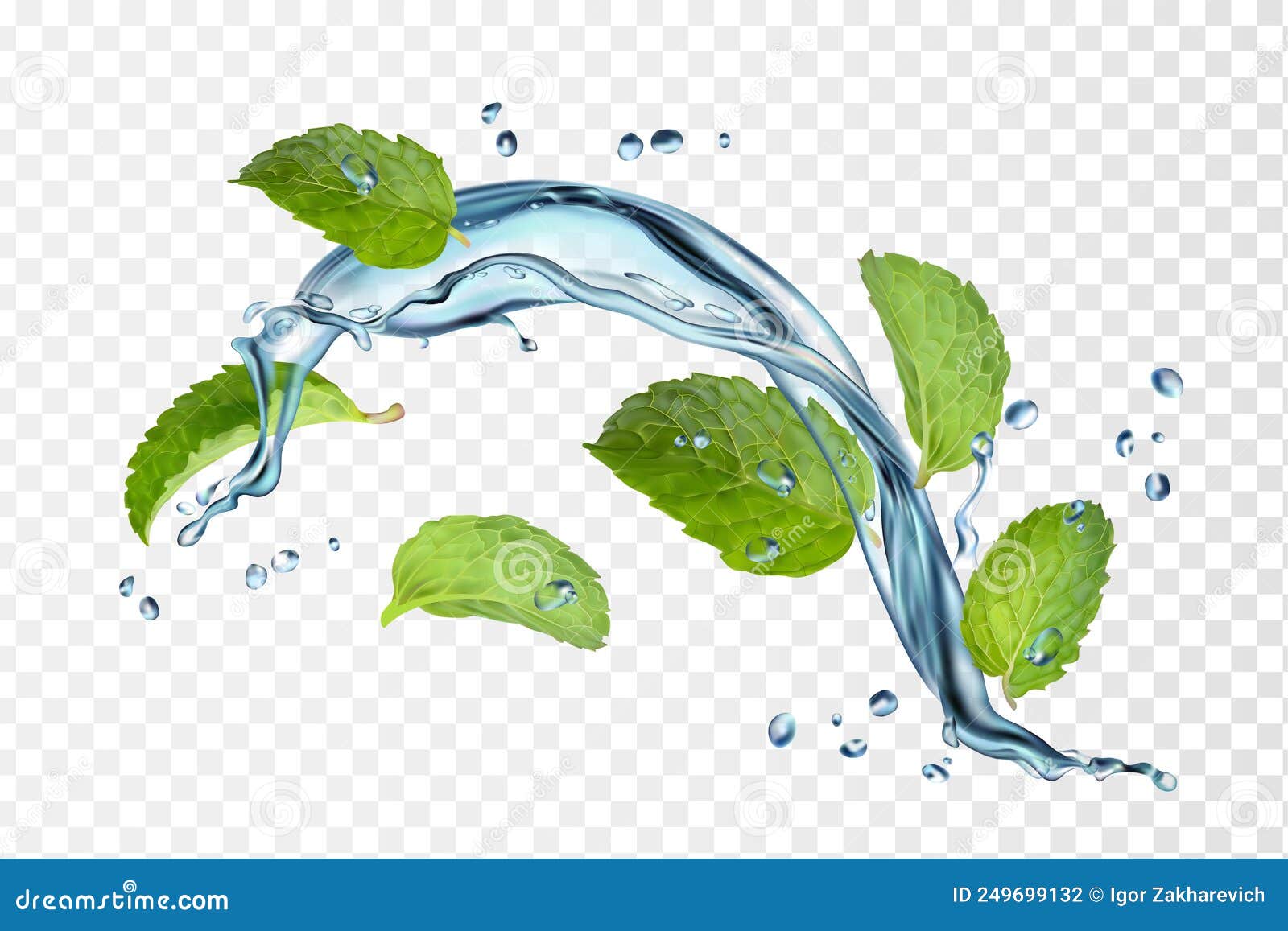 Water and Leaves. Isolated Vector Stock Illustration - Illustration of ...
