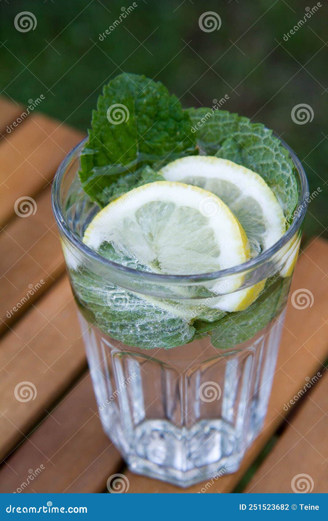 Water with lemon and mint stock photo. Image of liquid - 251523682