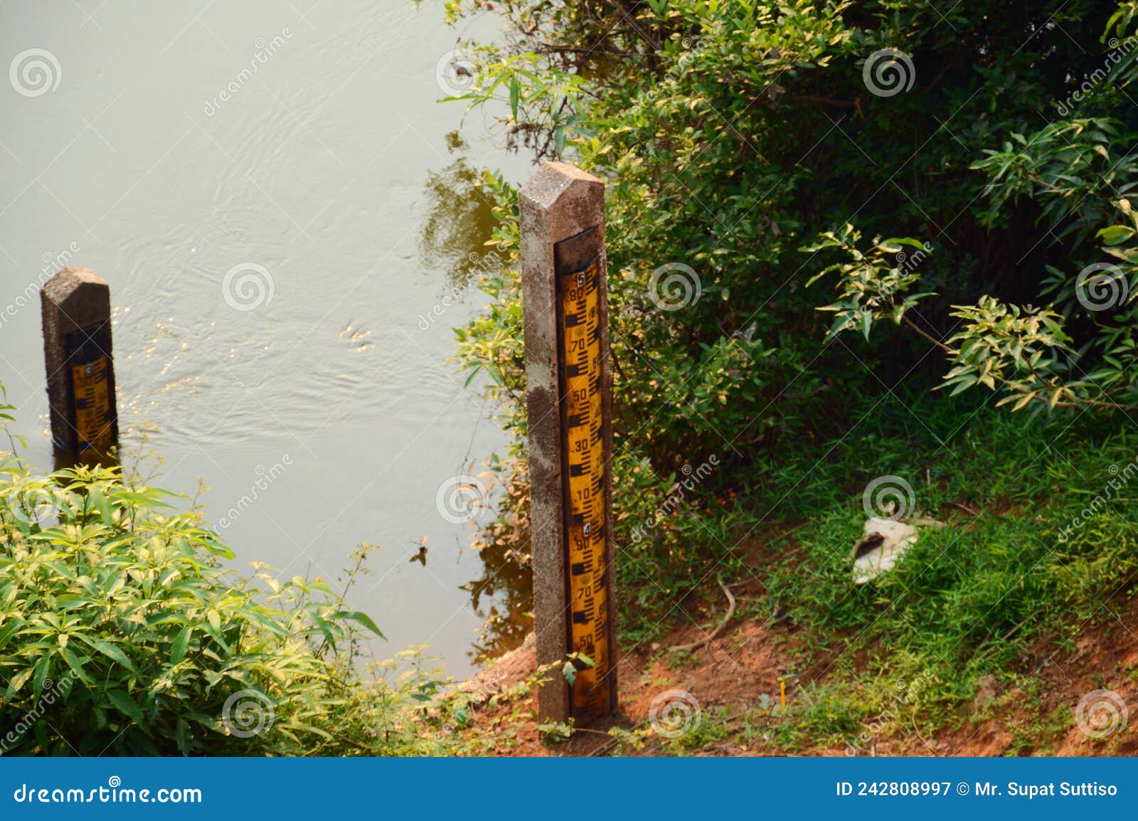 The Water Level Column is Located on the River, the Concept of Checking ...