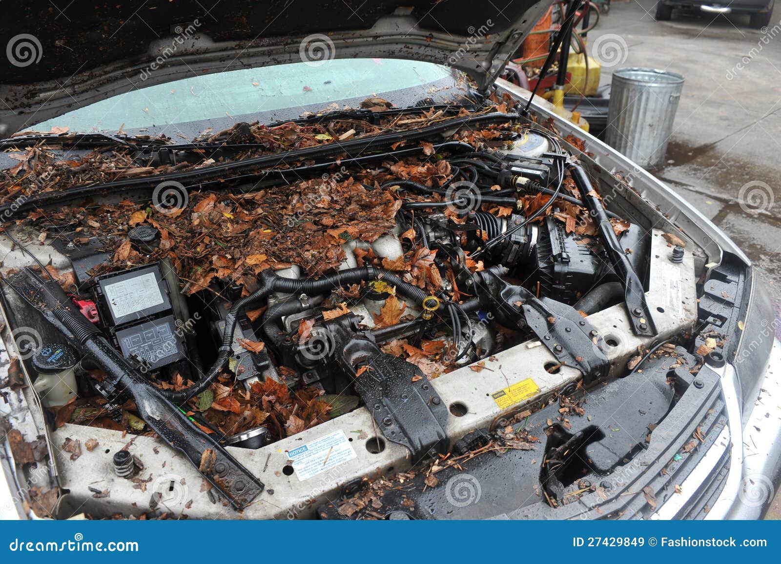 Water Level and Debris at Cars Editorial Stock Image - Image of north ...
