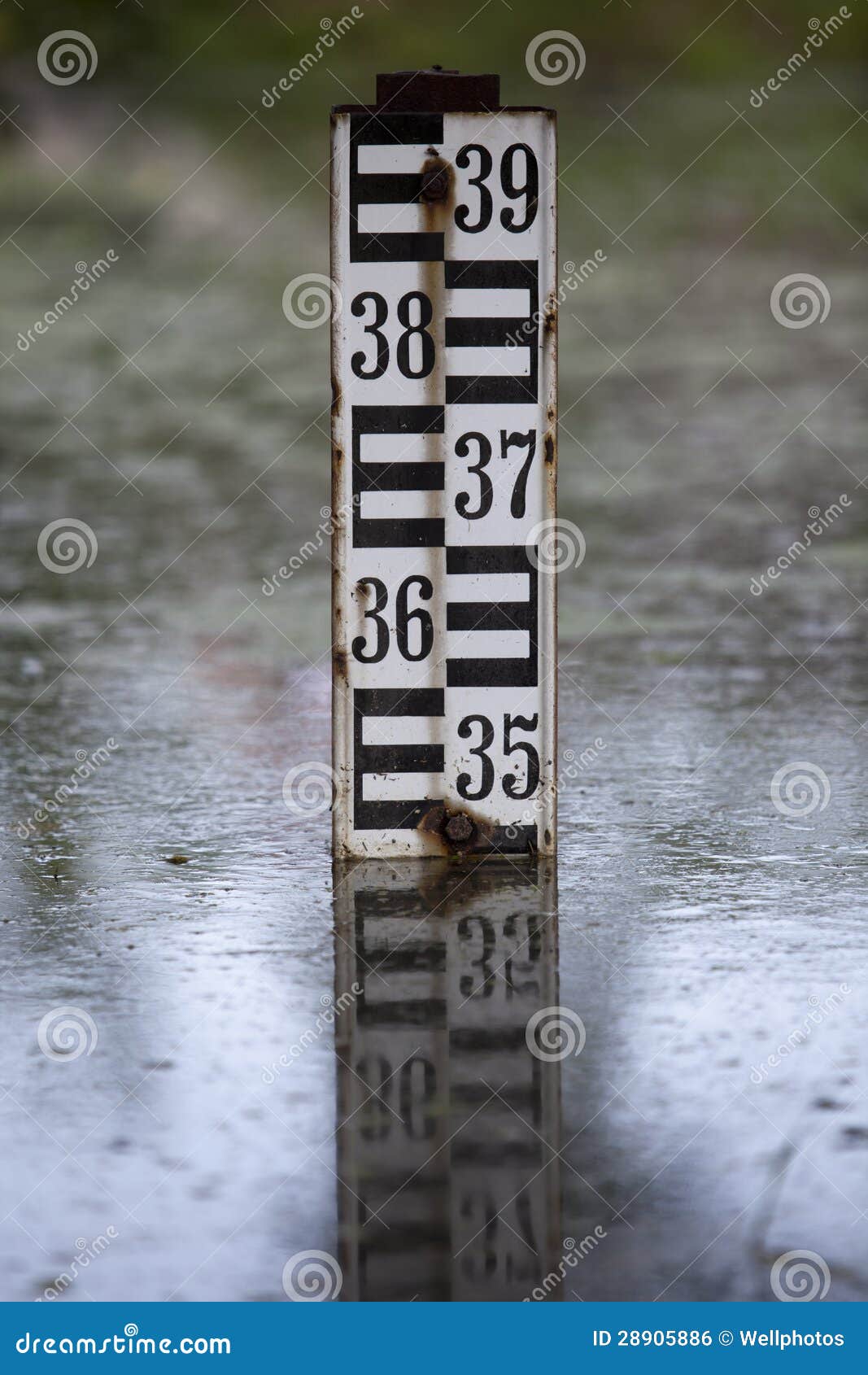Water level indicator stock photo. Image of pole, numbers - 28905886
