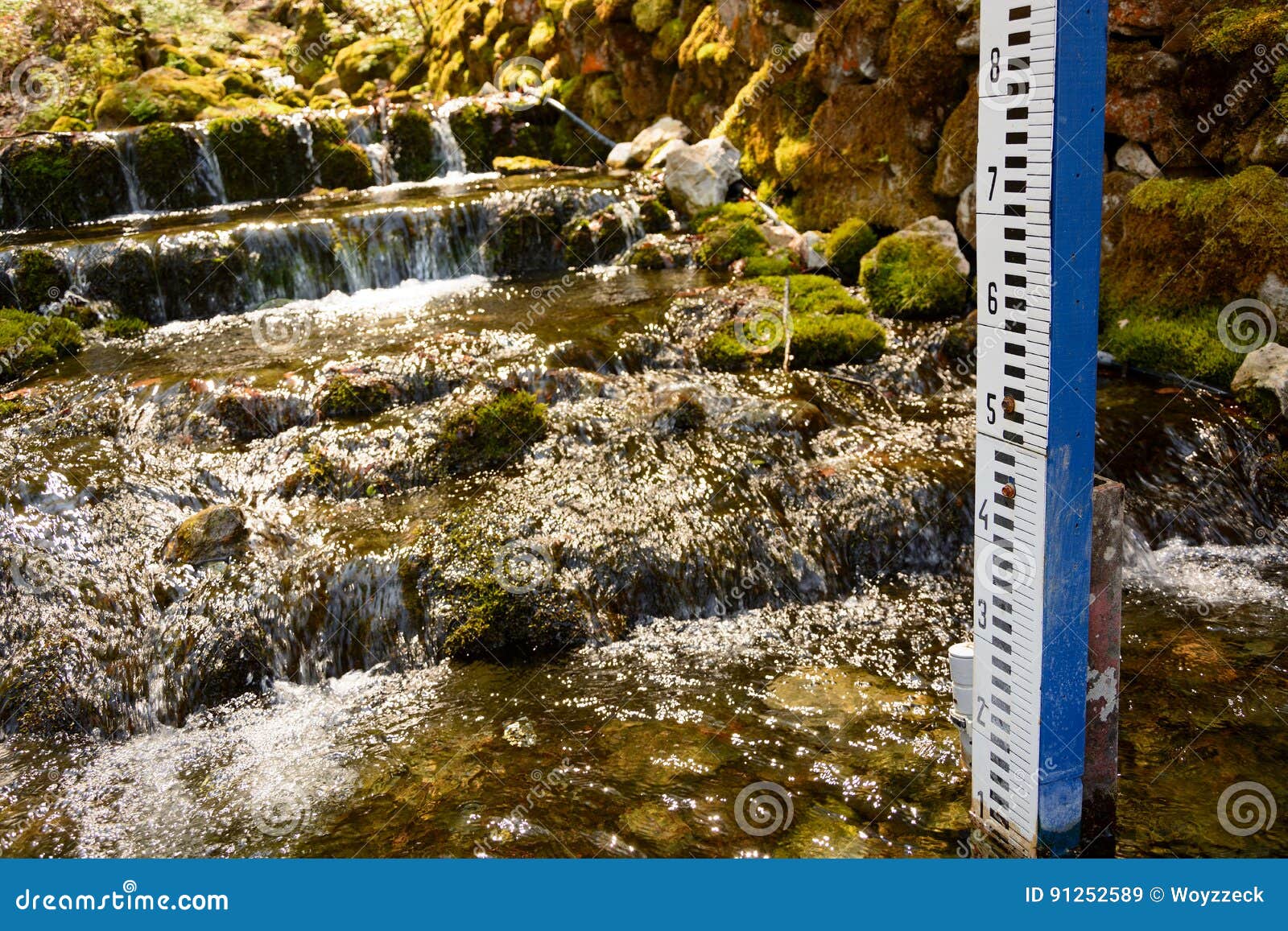 Water Level Meter on Forest Stream Stock Image - Image of ruler ...