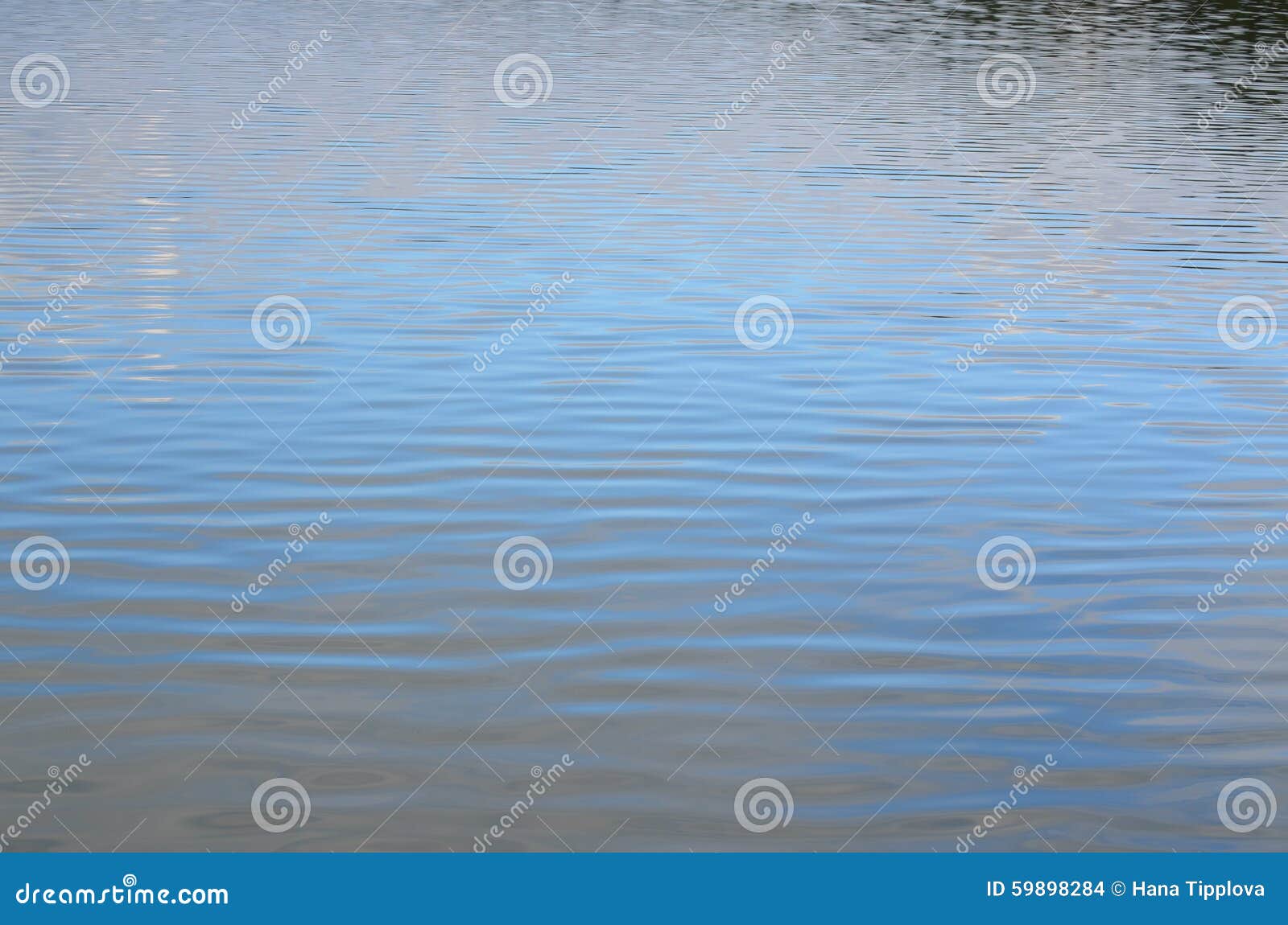Koi Pond With Fluid Texture Stock Photo | CartoonDealer.com #109863480