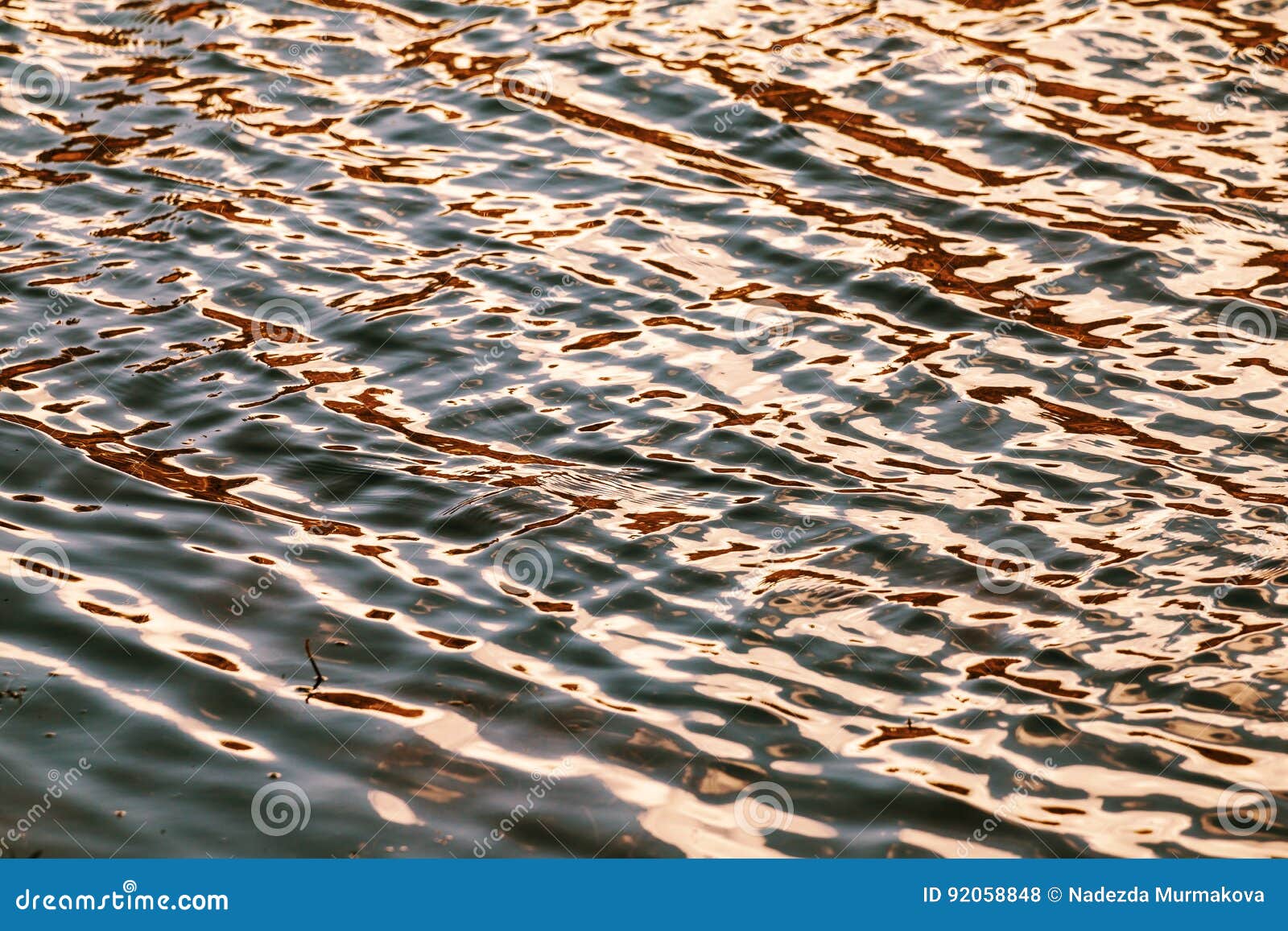 Water Level, Water in Motion. Reflected Structure of the Surroundings ...