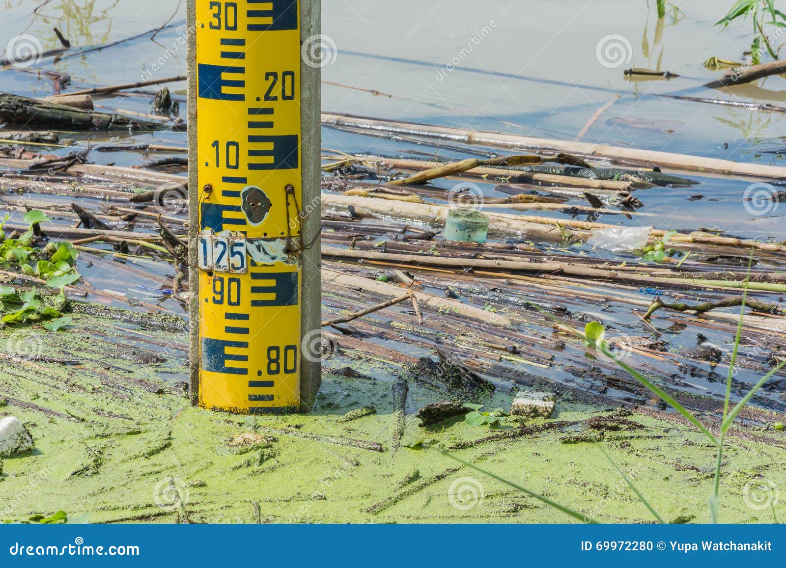 Water levels pole stock photo. Image of high, outdoors - 69972280