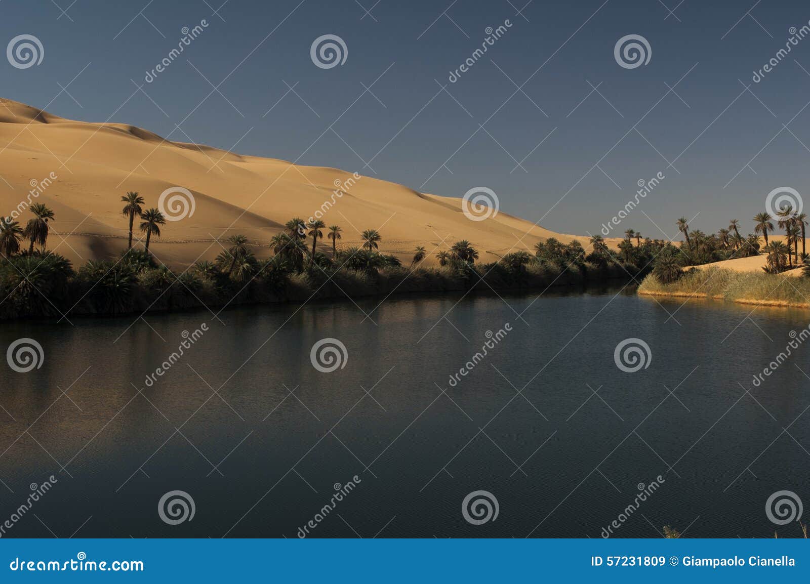 Water in the Libyan Sahara Desert Stock Image - Image of africa, arabia ...