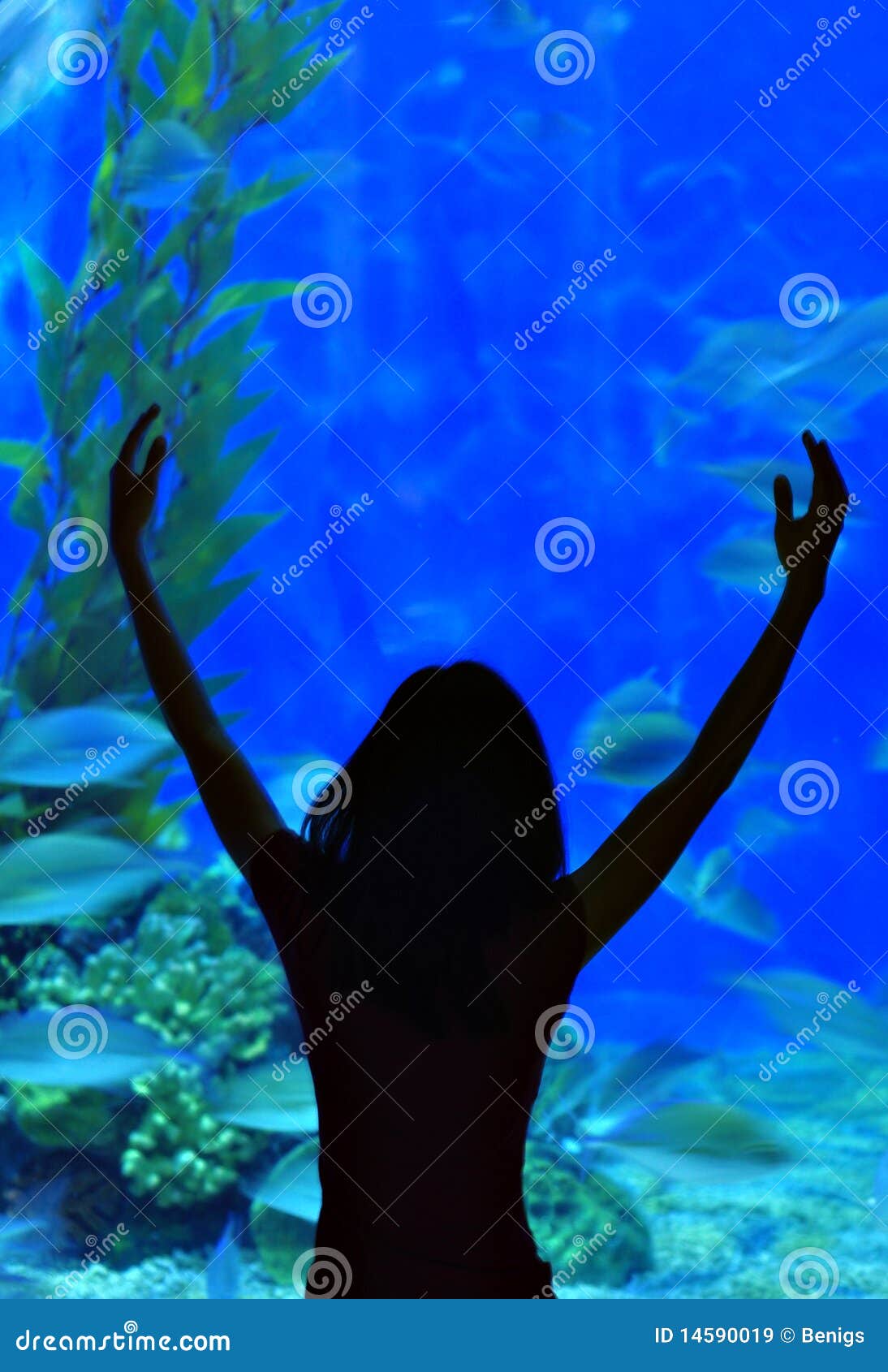 Water is Life stock image. Image of aqua, ocean, nature - 14590019