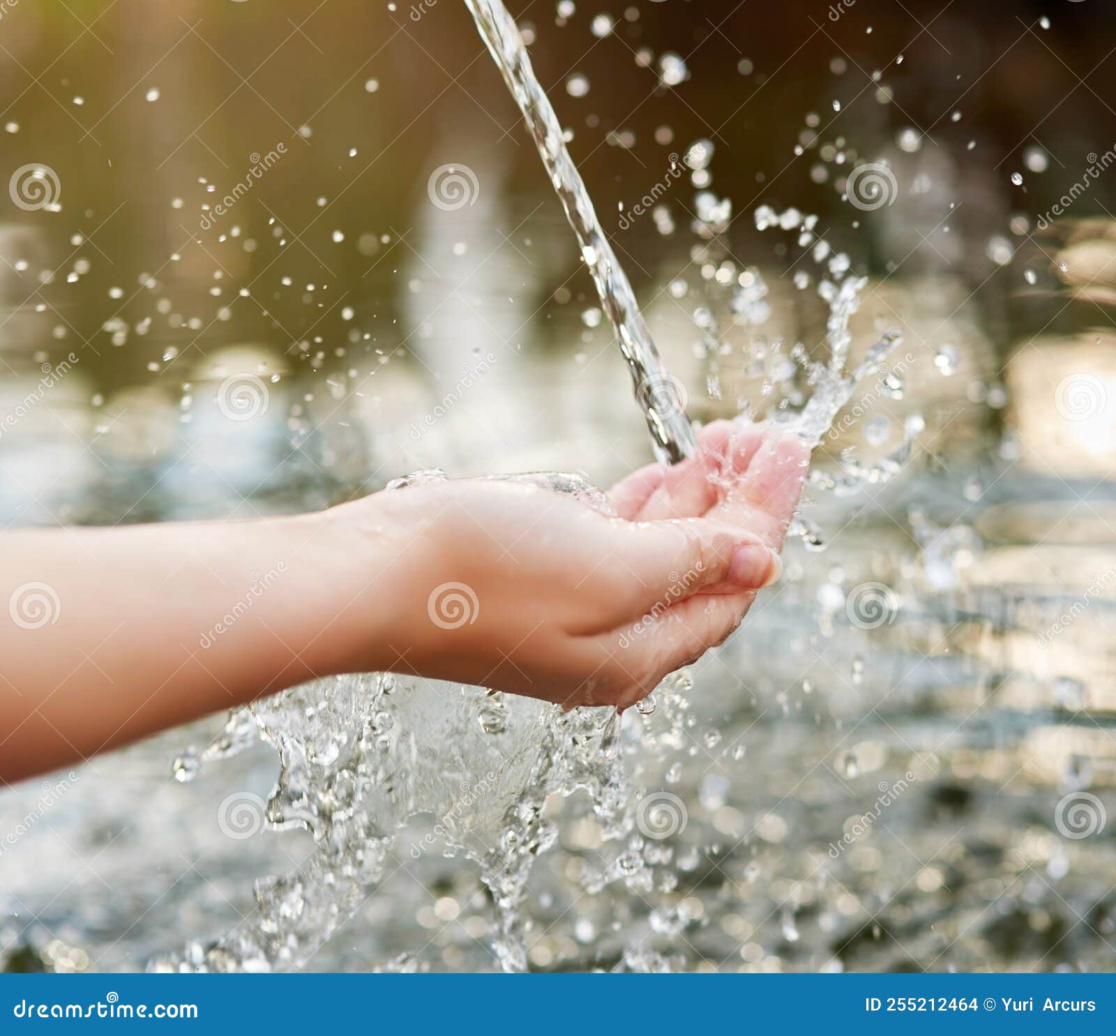 Water is Life. Hands Held Out Under a Stream of Water. Stock Photo ...