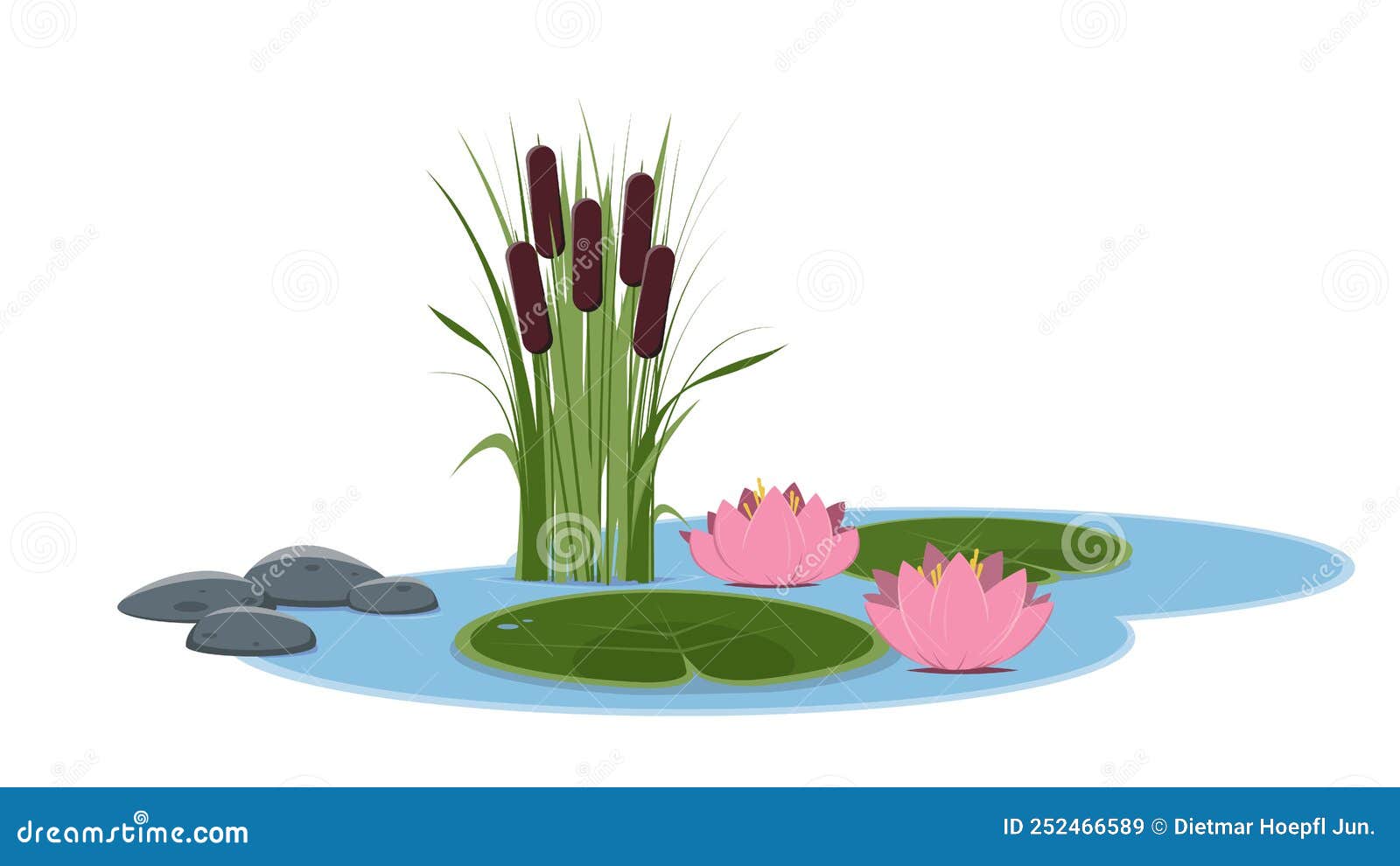 Cartoon Illustration of a Beautiful Small Pond Stock Illustration ...
