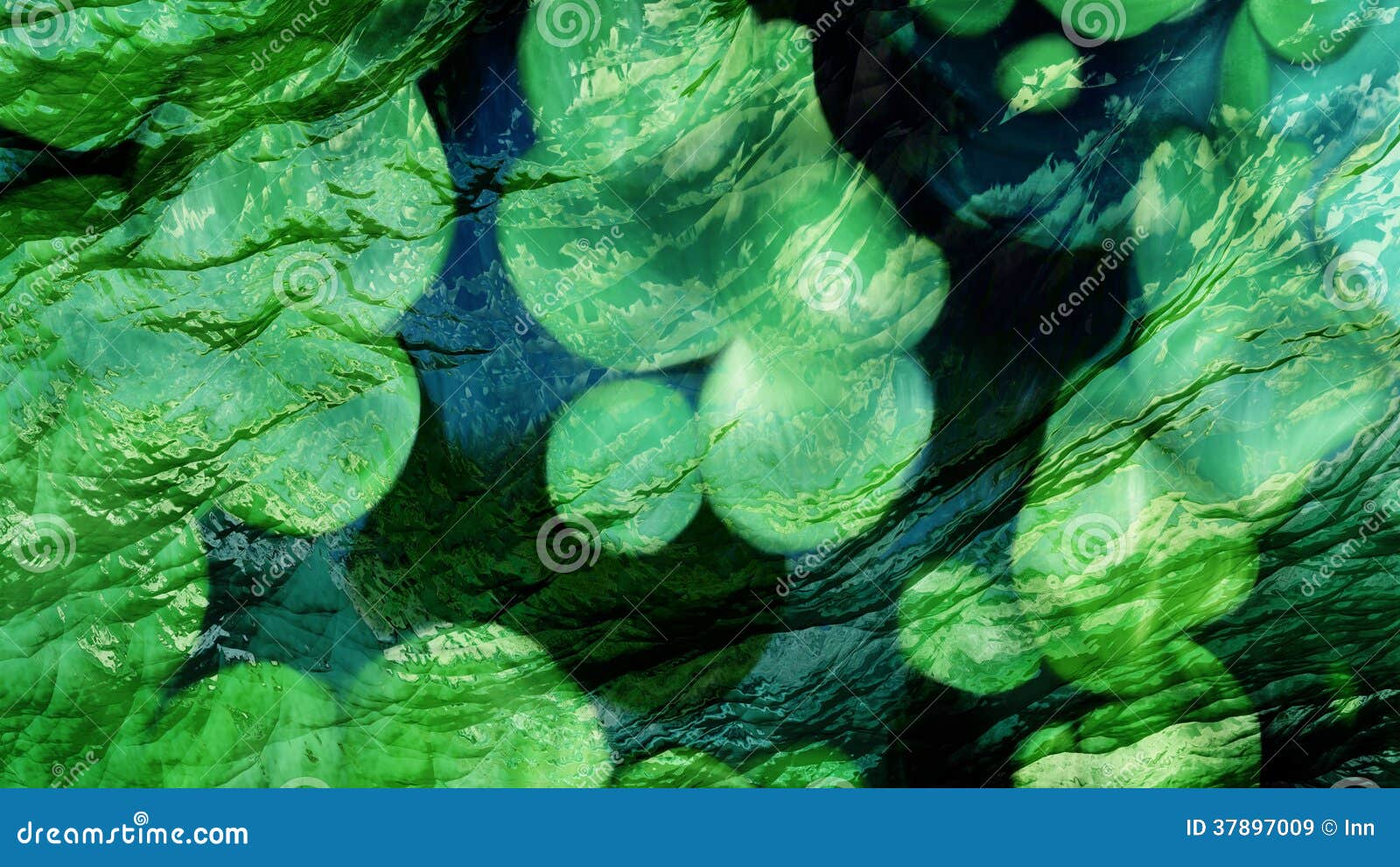 Water Lily Leaf Structure