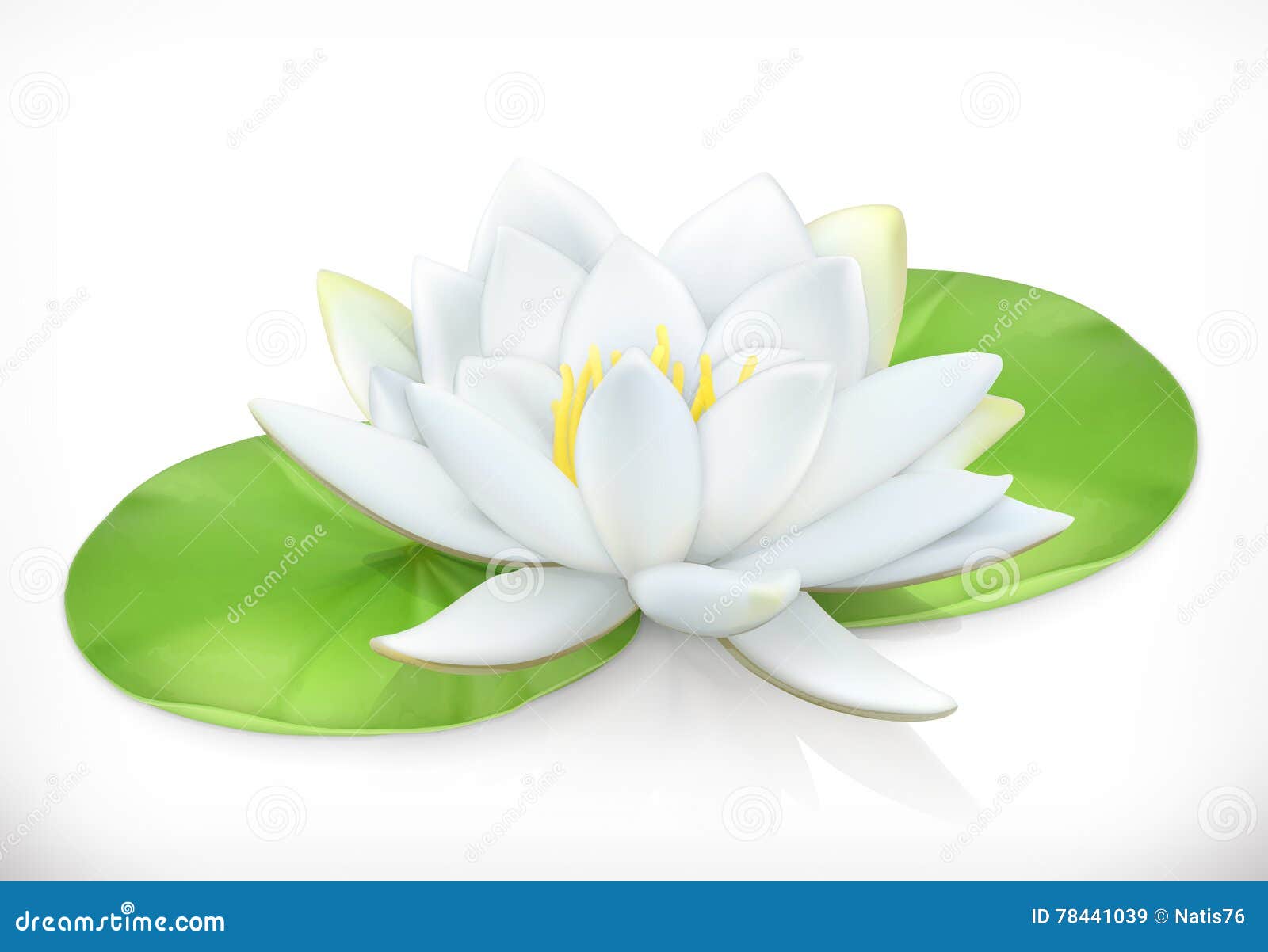 Water Lily Flower Clip Art