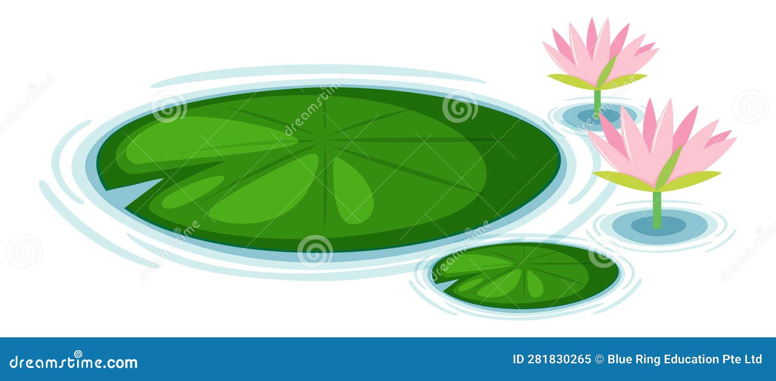 Water Lily Pads Vector stock vector. Illustration of graphic - 281830265