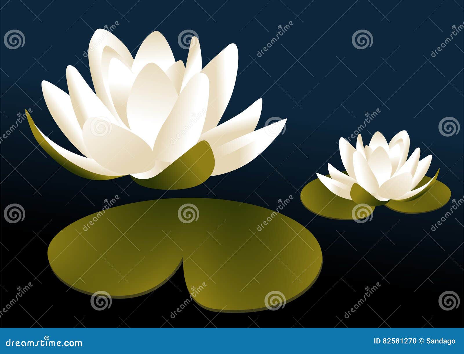 Water lily stock illustration. Illustration of japan - 82581270