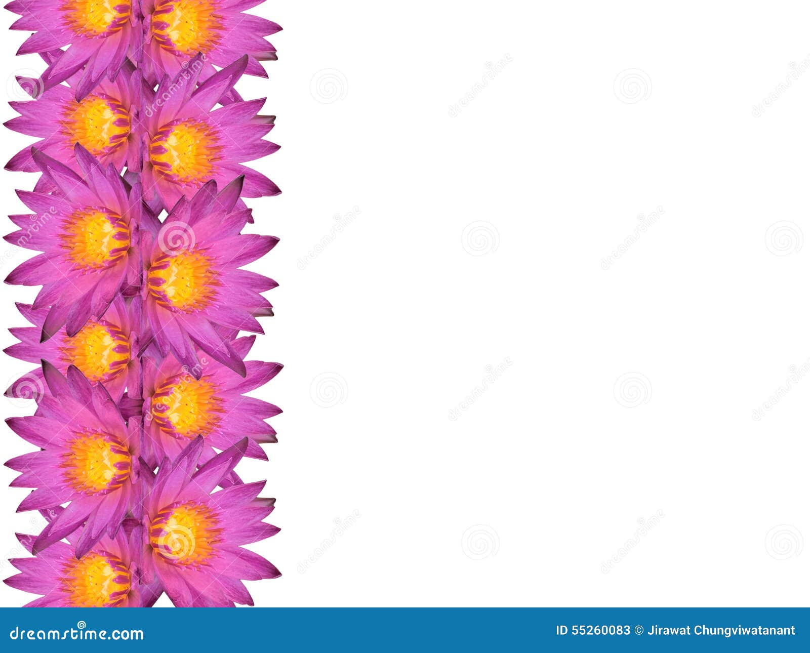 Water Lily Vertical Frame stock image. Image of decorative - 55260083