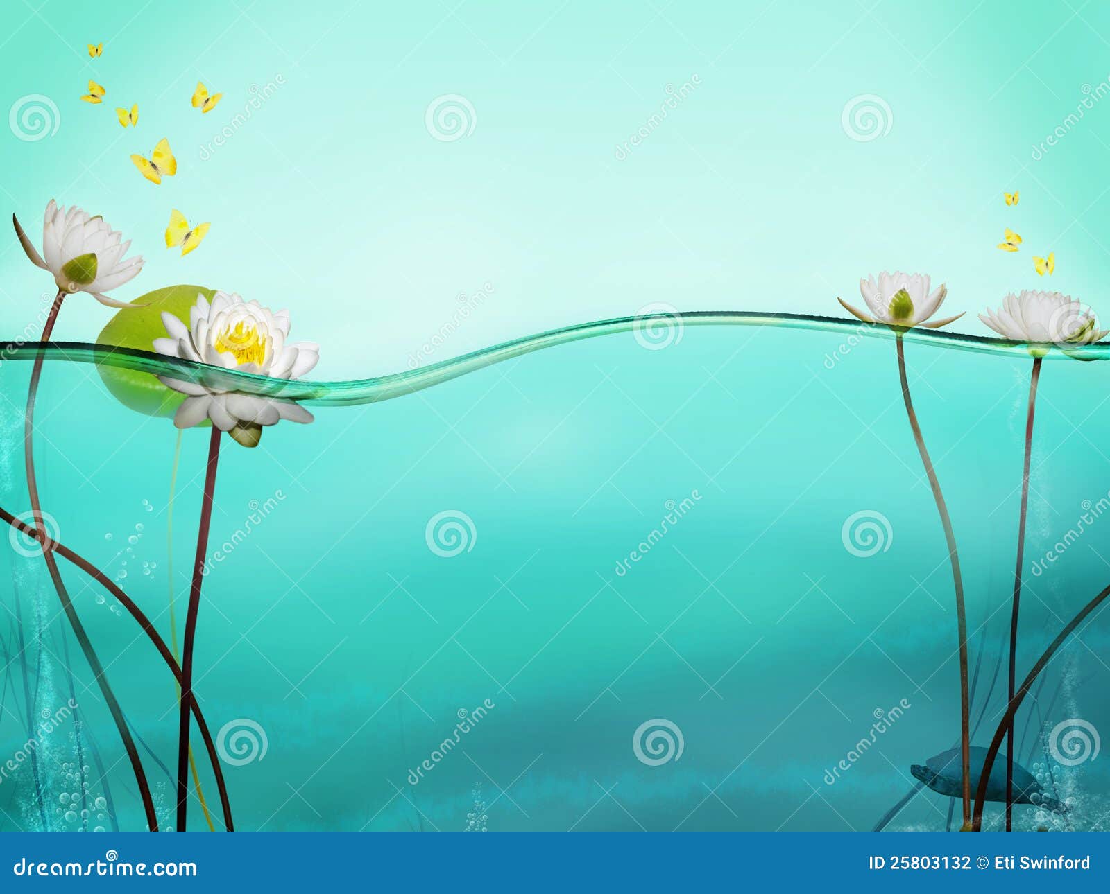 Water line stock photo. Image of lily, natural, fresh - 25803132