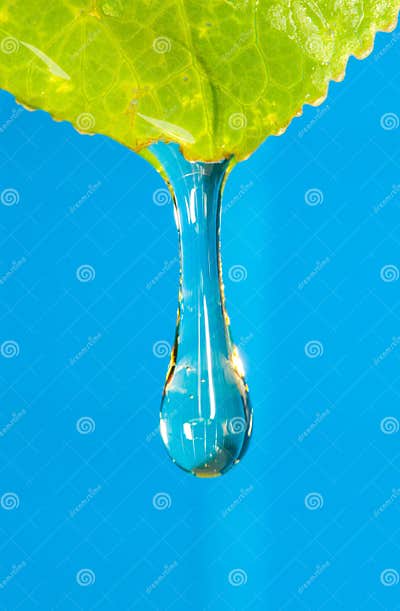 Water of Live stock image. Image of green, drop, falling - 5568085