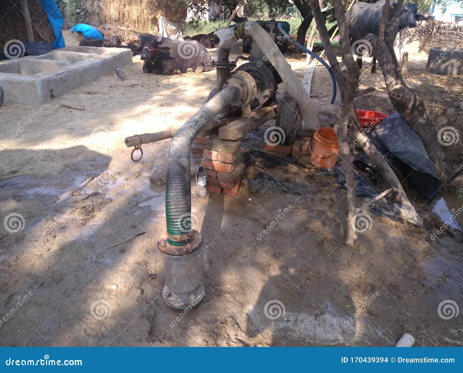 Water lonchar stock photo. Image of lonchar, ihop, water - 170439394