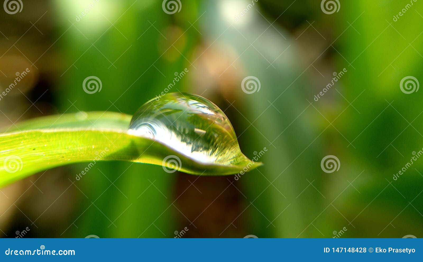 Water Macro Photo Object Dripping Stock Photo - Image of water ...
