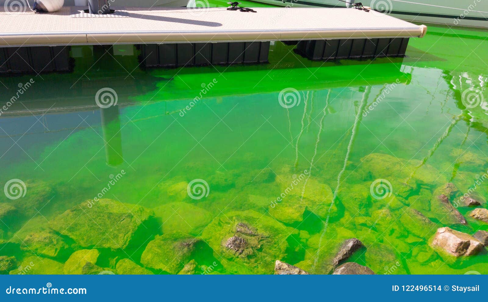 The Water in the Marina is Polluted with Green Paint Stock Photo ...
