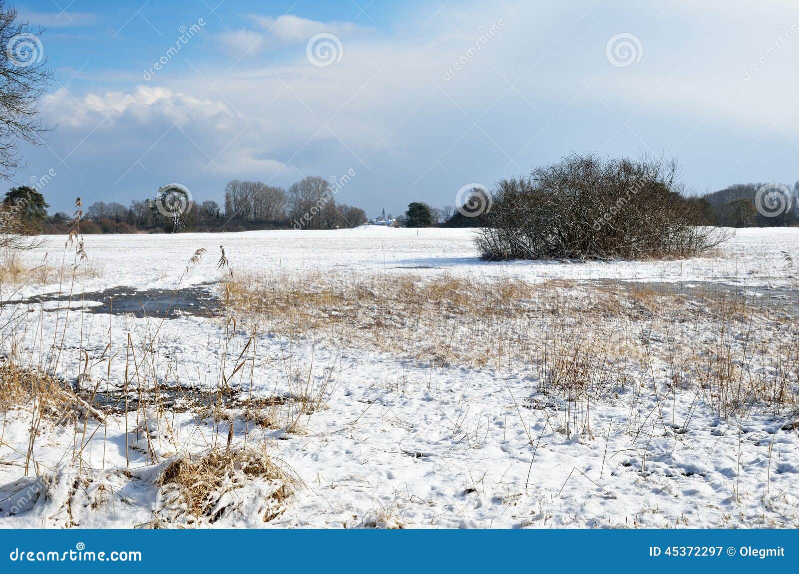 Water Meadow Under the Light Snow Stock Image - Image of swamp, soft ...