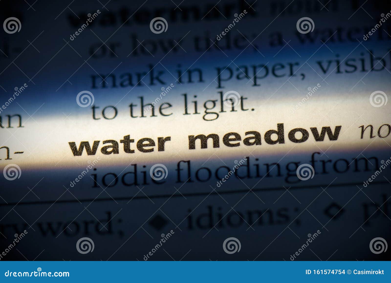 Water meadow stock photo. Image of page, close, detail - 161574754