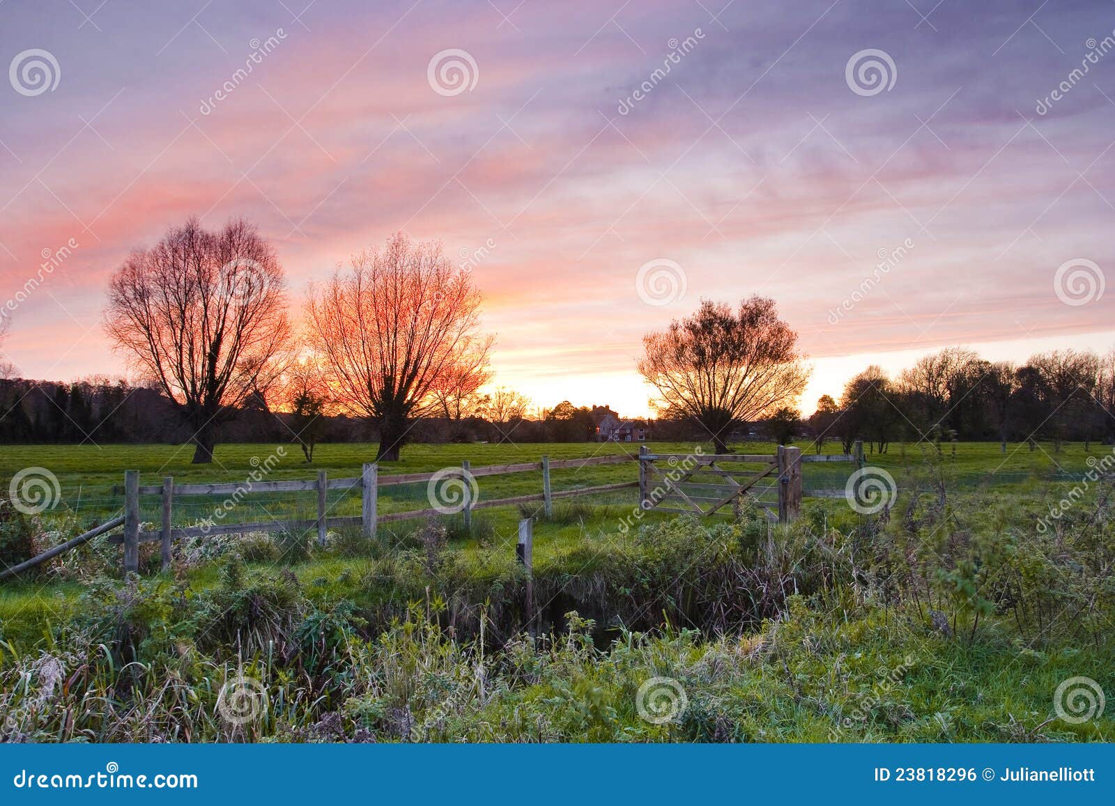 Meadows Sunset Green Plants Royalty-Free Stock Photo | CartoonDealer ...