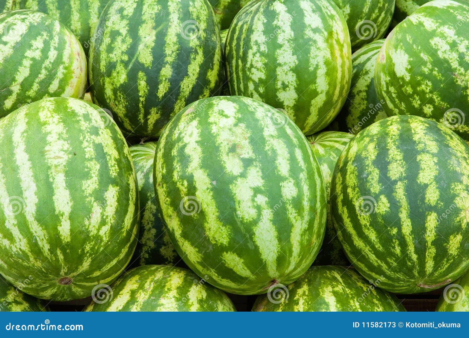 Water-melon stock image. Image of diet, structure, juicy - 11582173