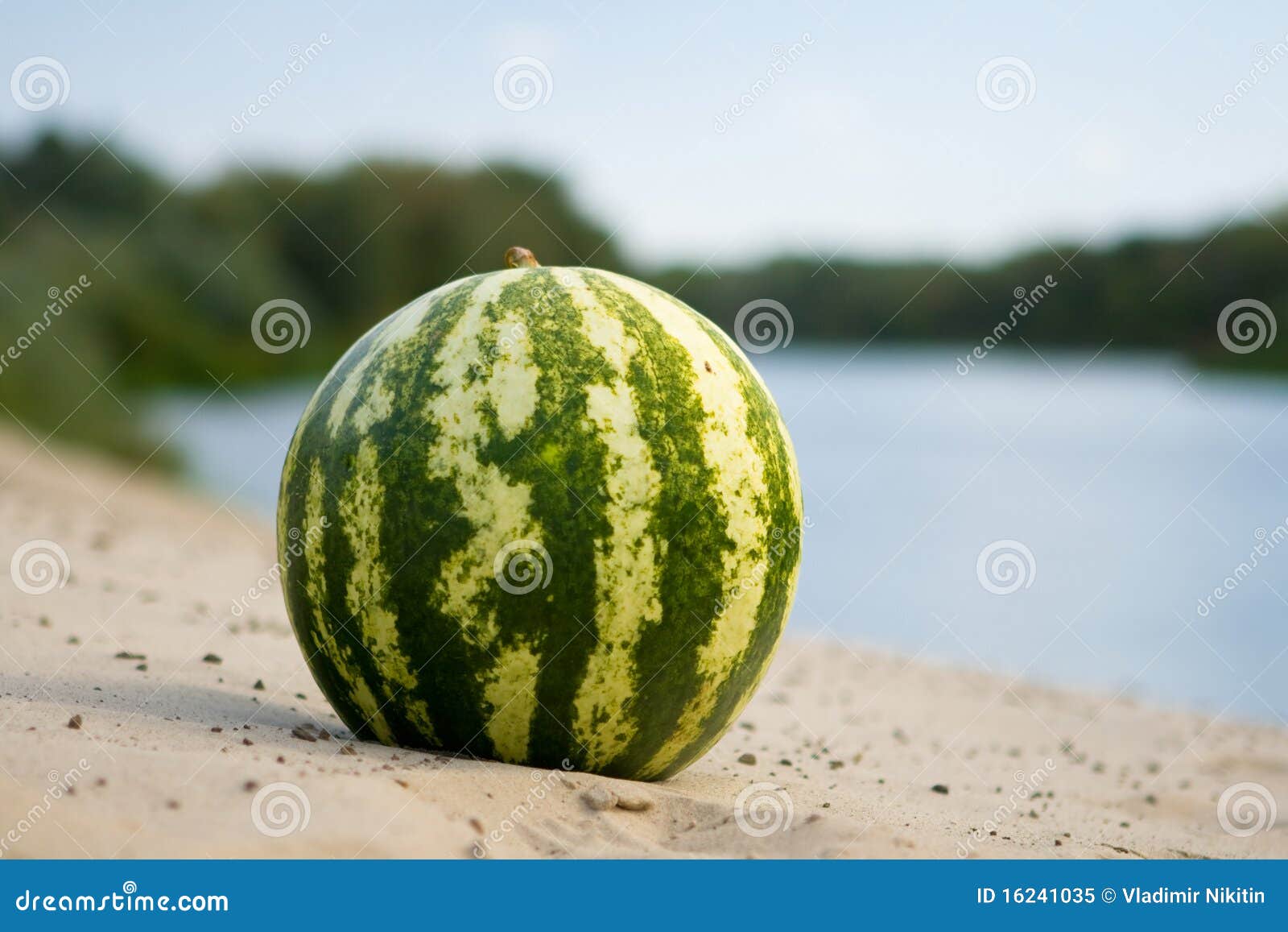 Water-melon stock image. Image of nature, river, beach - 16241035
