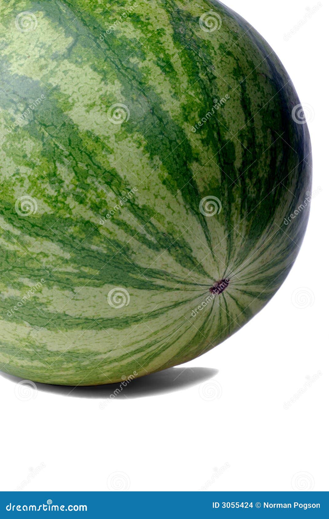 Water Melon stock photo. Image of globe, water, summertime - 3055424