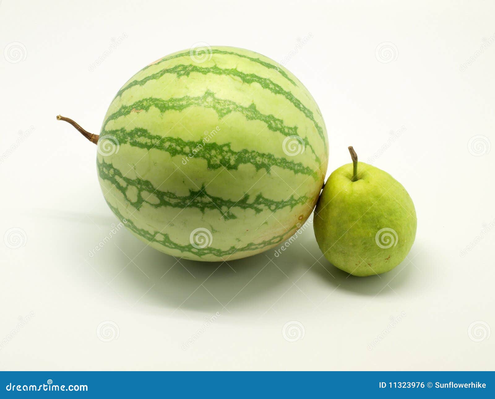 Water melon and guava stock photo. Image of dessert, farm - 11323976