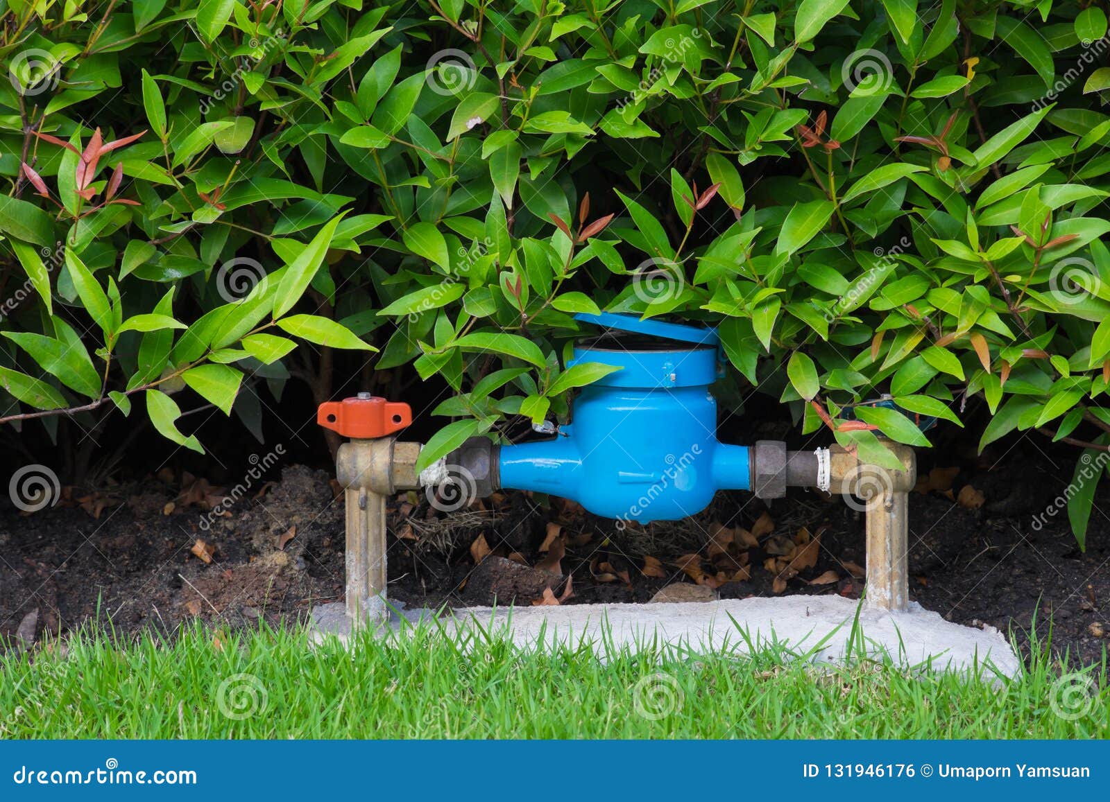 Water meter in the garden. stock photo. Image of meter - 131946176