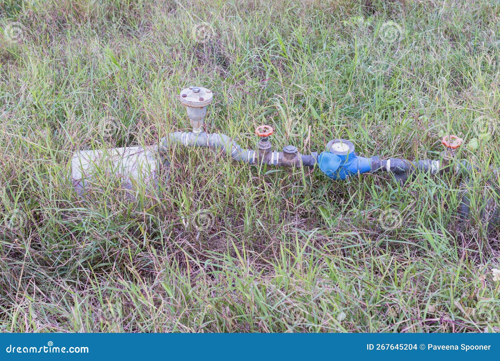 Water meter on the grass stock photo. Image of outdoor - 267645204