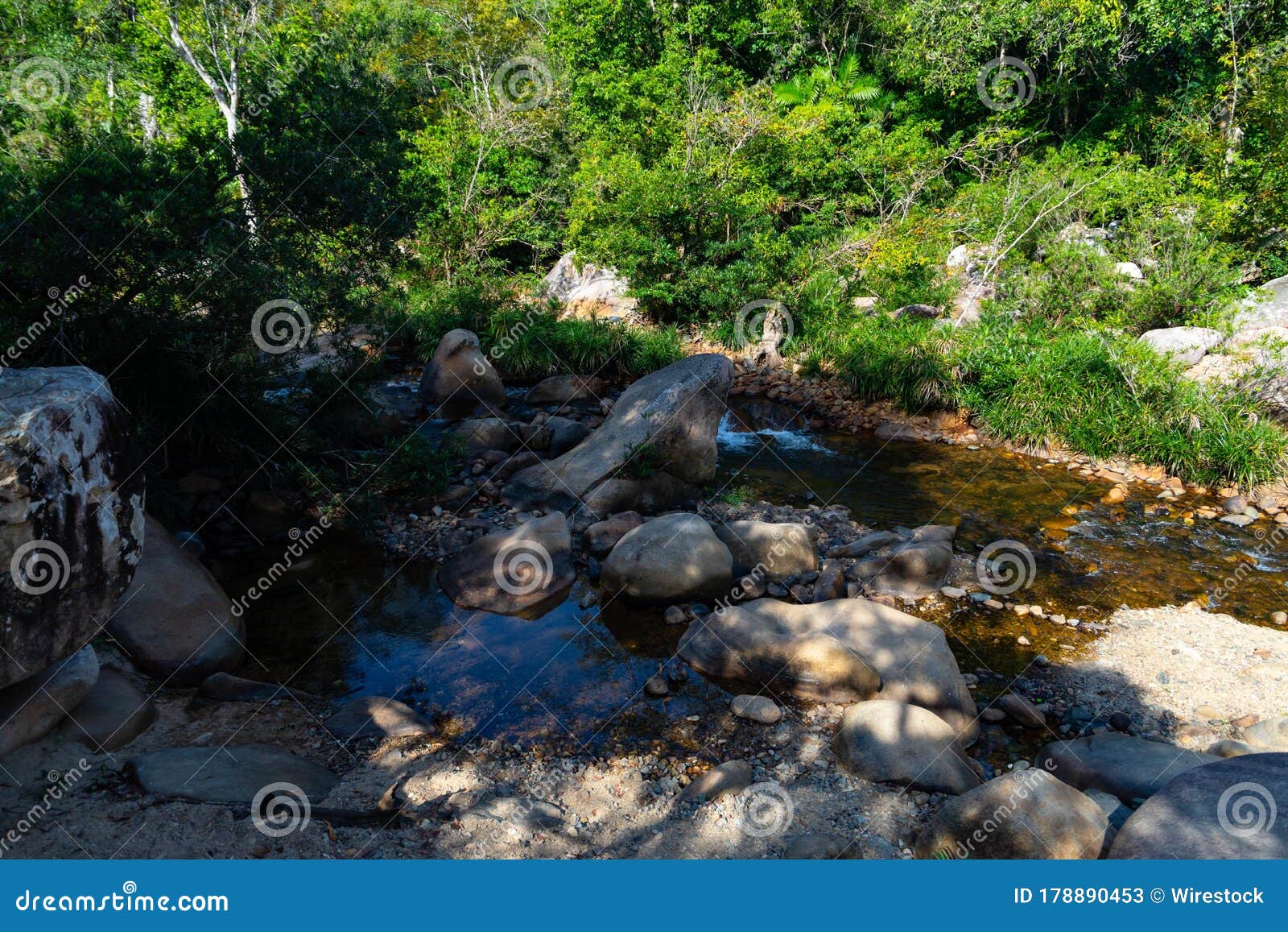 Water in the Middle of Rocks Surrounded by Nature in Vietnam Stock ...