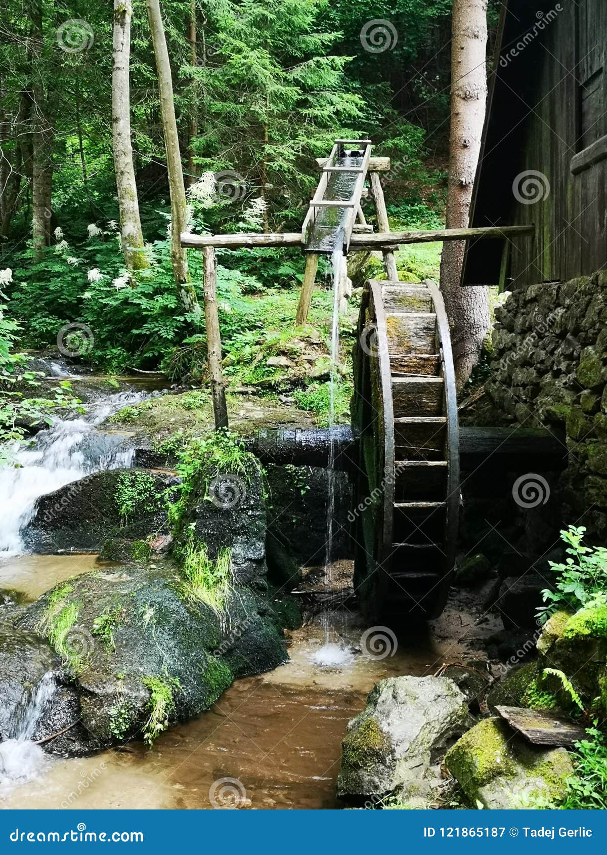 Water mill stock image. Image of forest, mill, river - 121865187