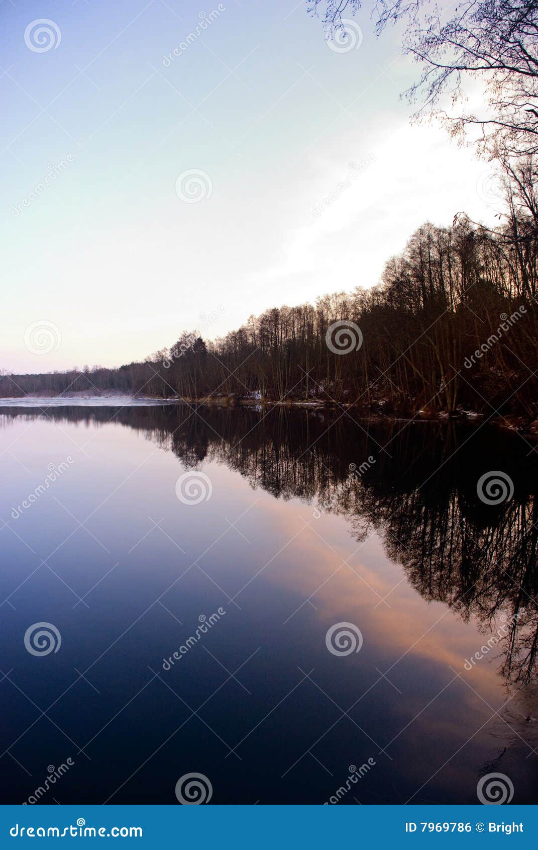 Water Mirror stock photo. Image of woods, colorful, cold - 7969786