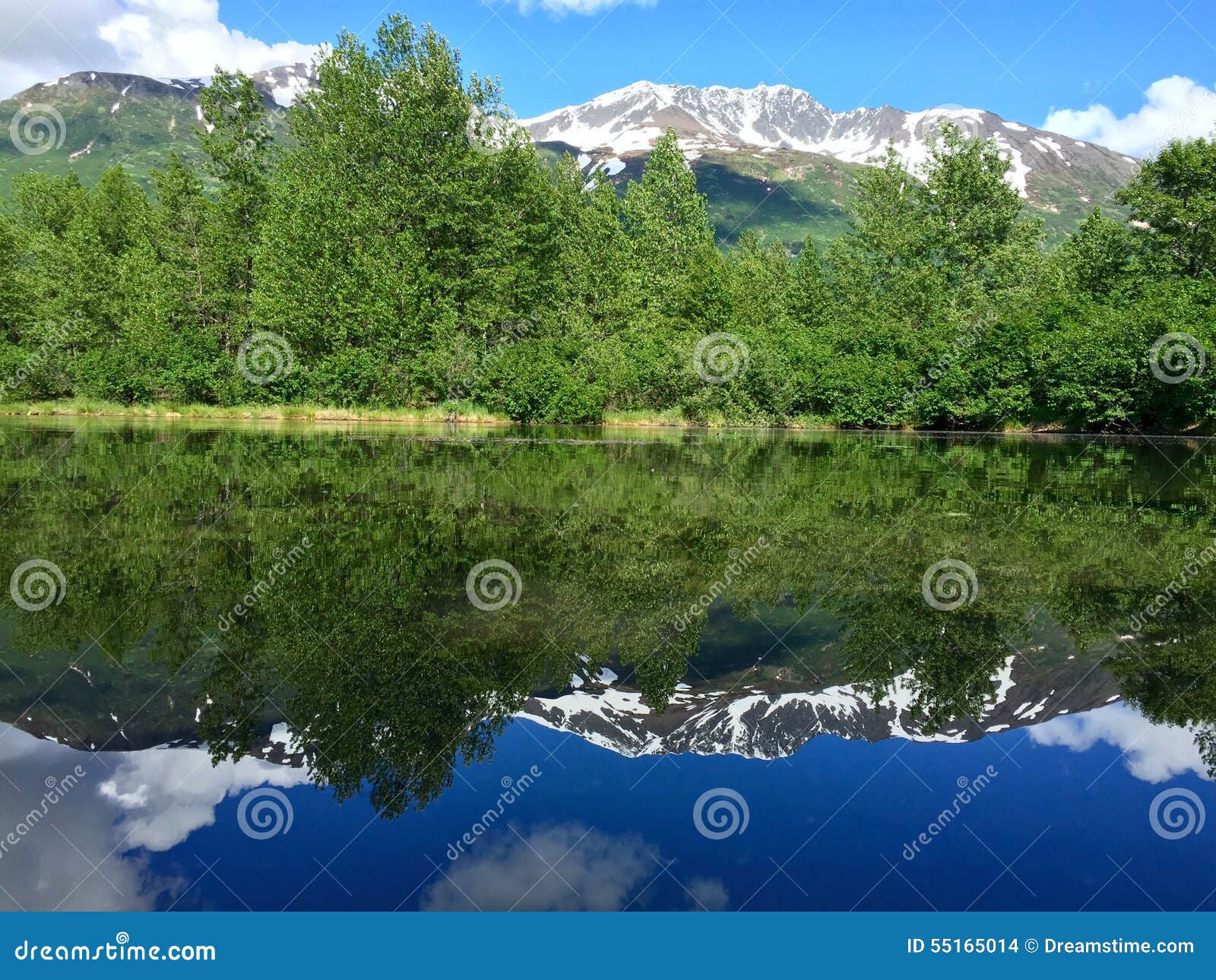 Water mirror stock photo. Image of beauty, mirrior, reflection - 55165014