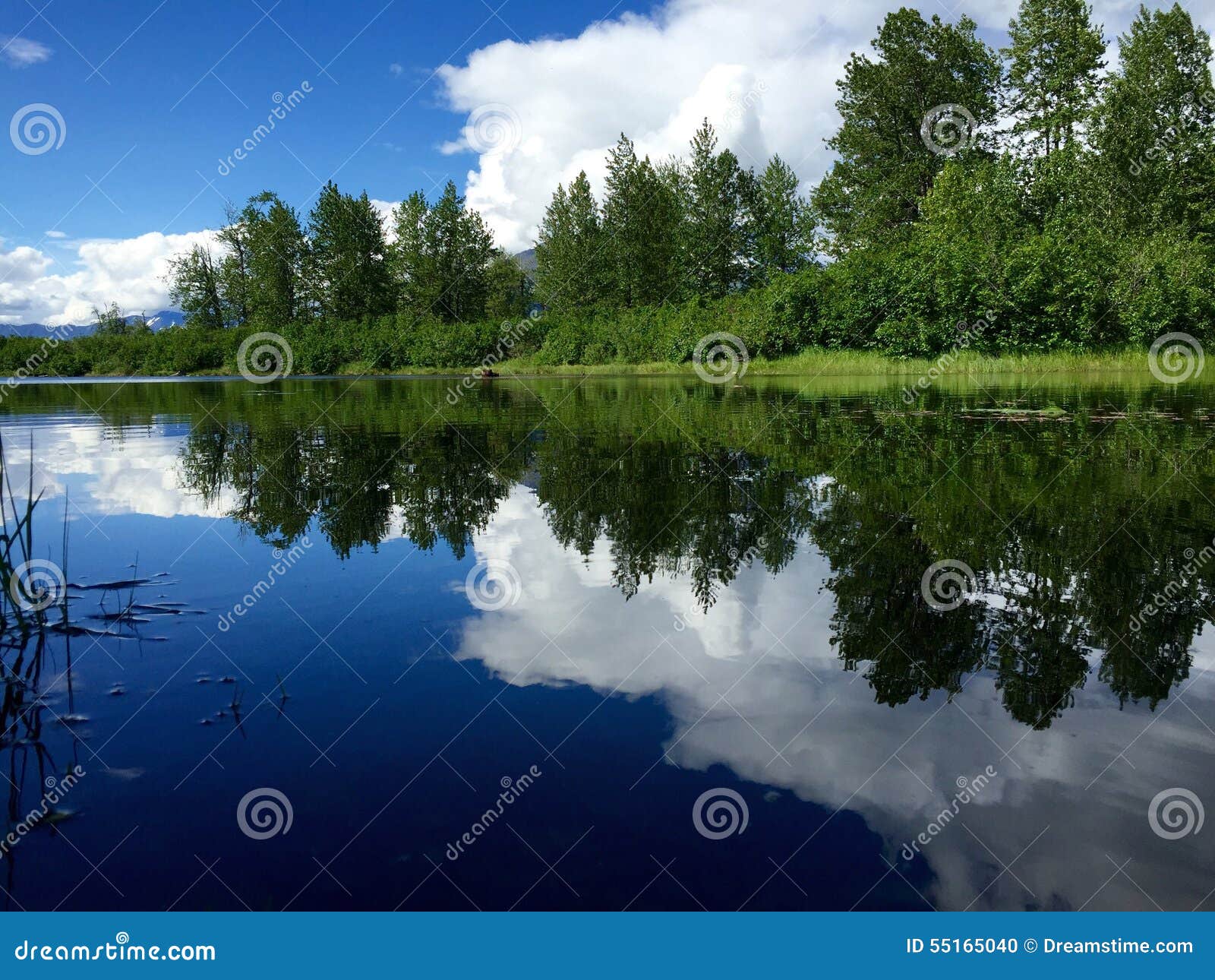 Water mirror stock photo. Image of landscape, beauty - 55165040