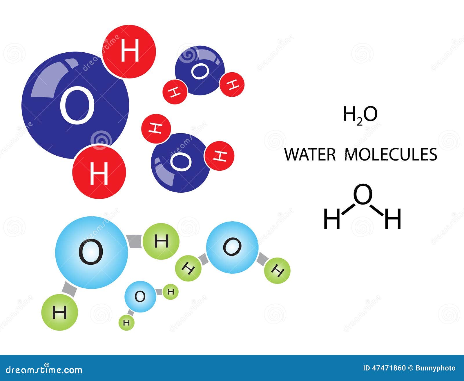 Water molecule 1 stock vector. Illustration of molecule - 47471860
