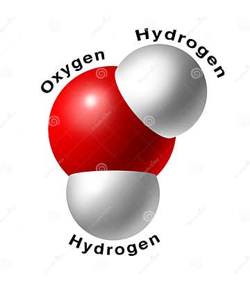 Water Molecule H2o Isolated Oxygen Hydrogen Red Wh Stock Illustration ...