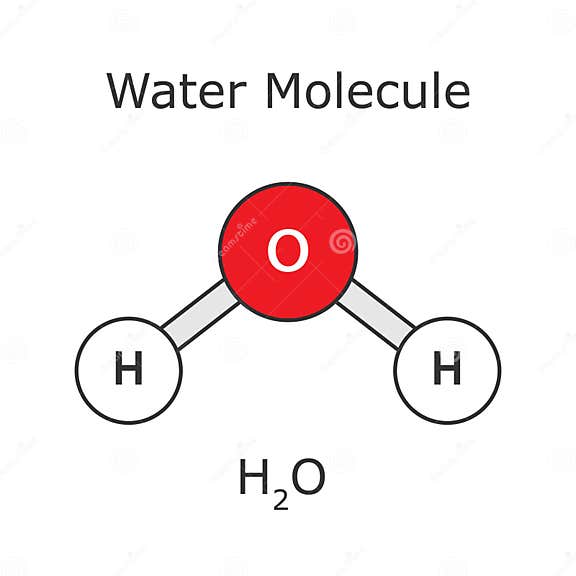 Water Molecule. Molecule Structure. Atomic H2O. Stock Vector ...