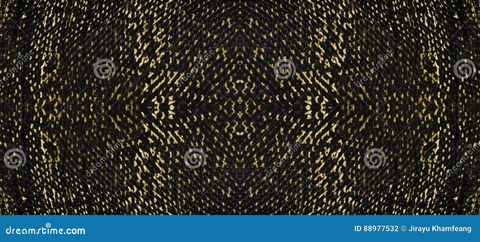 Water monitor lizard stock photo. Image of studio, dangerous - 88977532