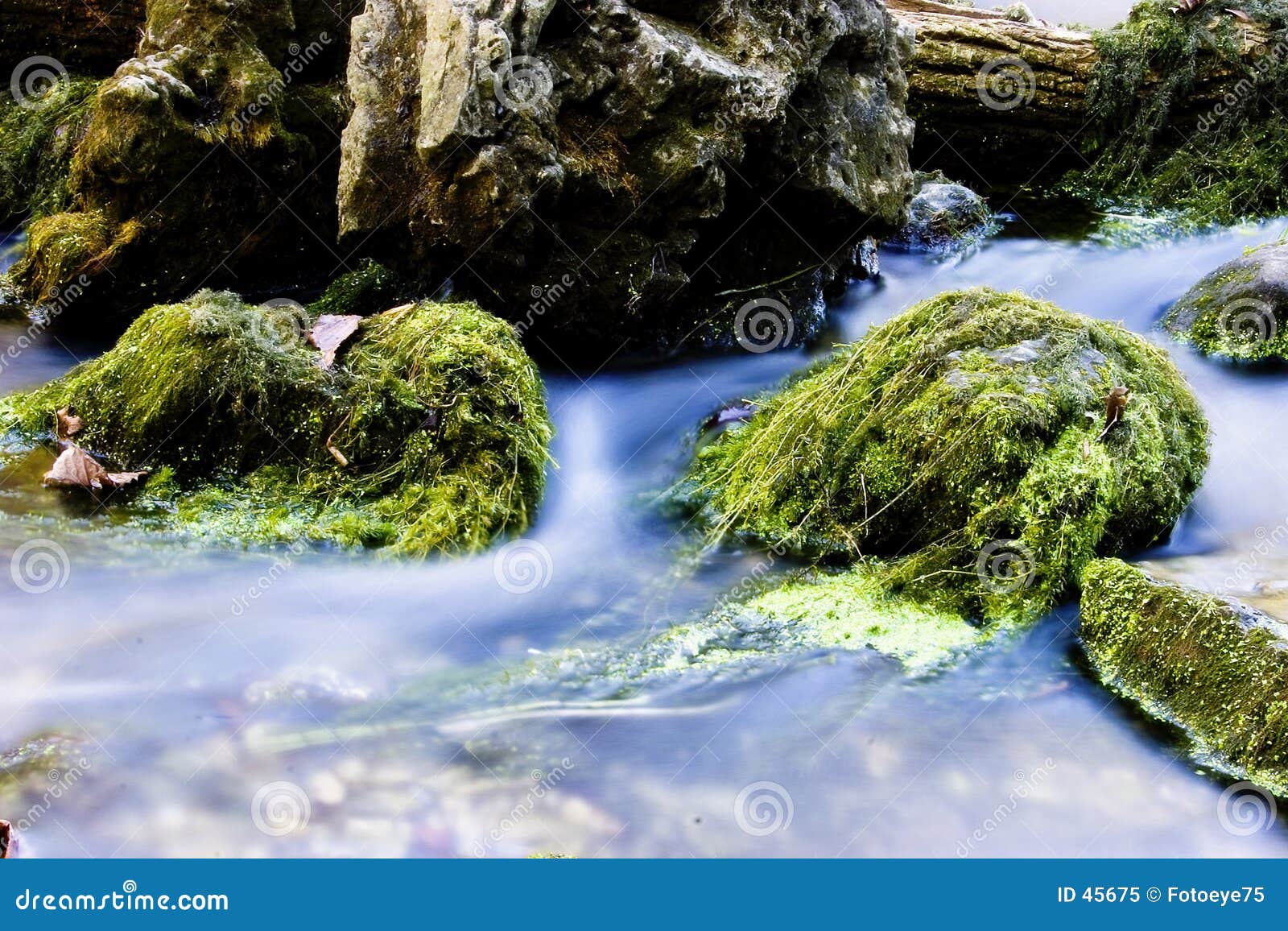 Water and moss stock image. Image of pristine, river, rock - 45675