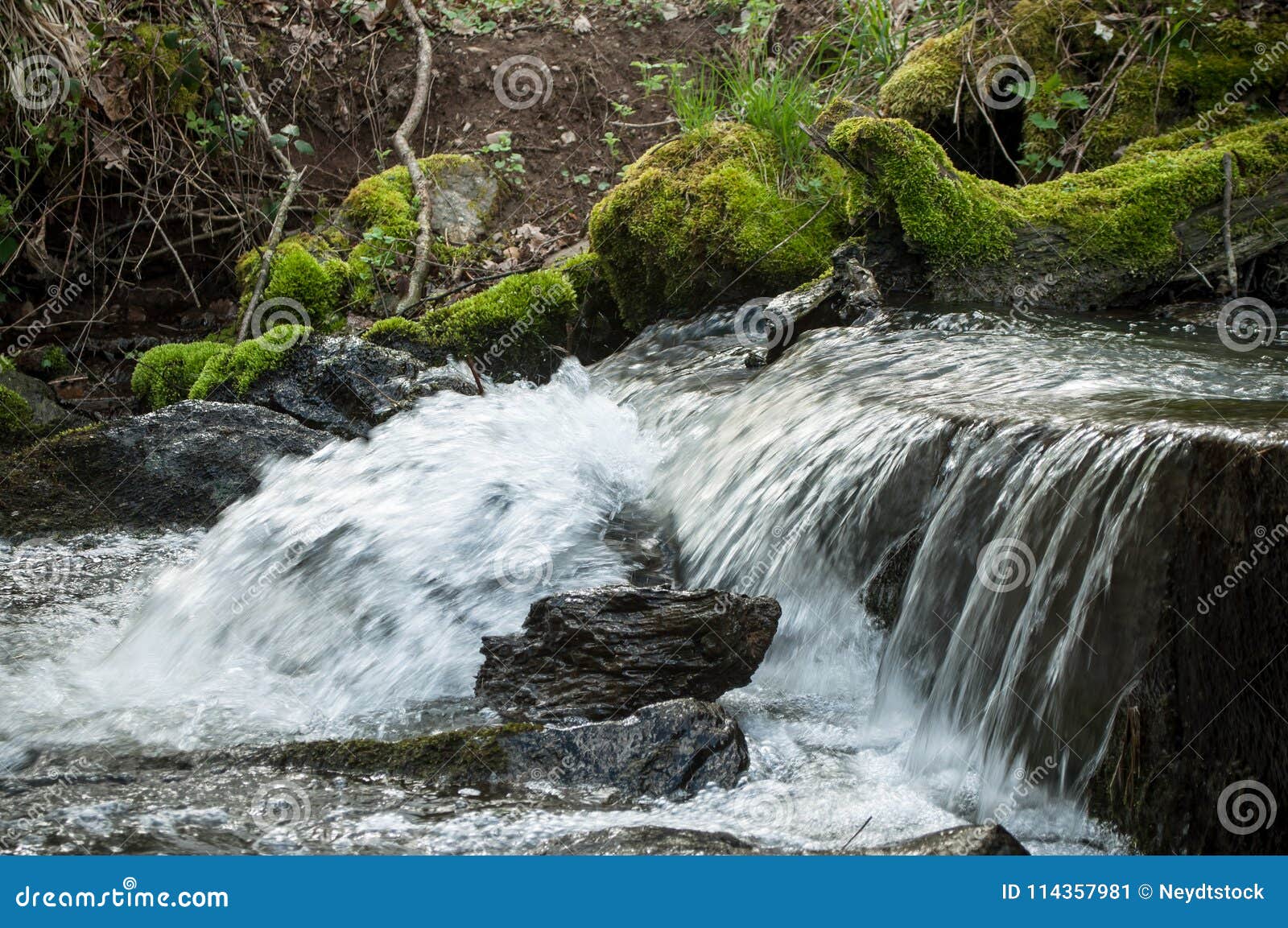 Water and Moss on Rocks in the River in the Forest Stock Image - Image ...