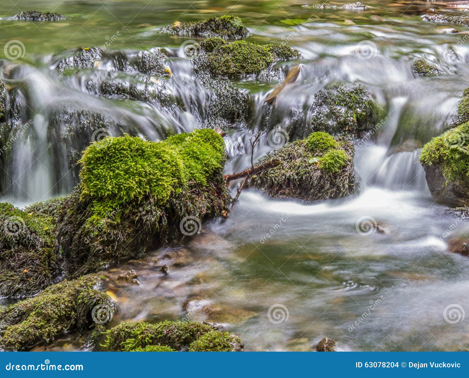 Water and moss stock photo. Image of deep, nature, background - 63078204