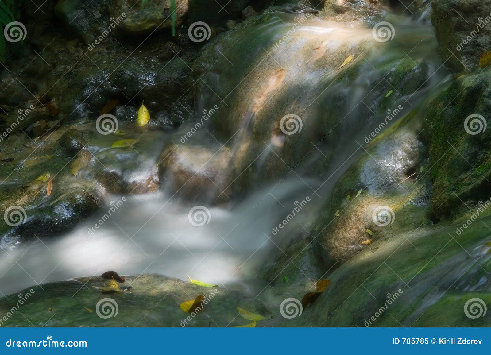 Water in motion stock image. Image of forest, pond, refresh - 785785