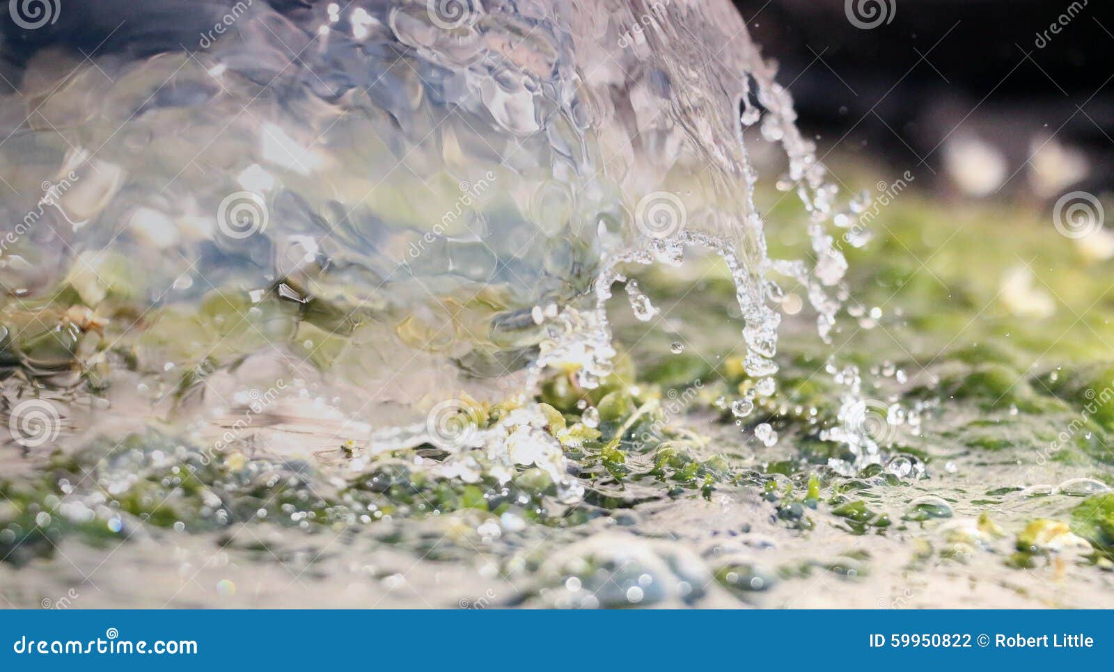 Water in Motion stock photo. Image of frame, motion, plants - 59950822
