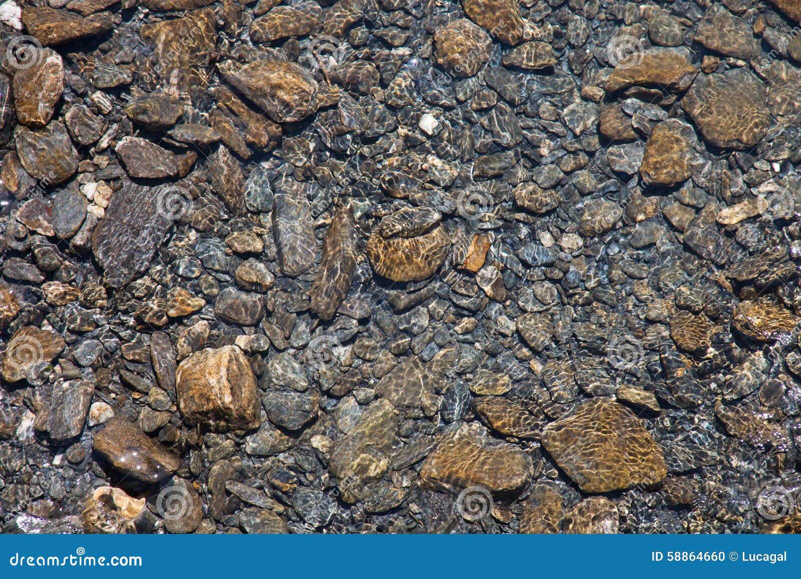 Water of a Mountain River Flows on Stones Stock Photo - Image of ...