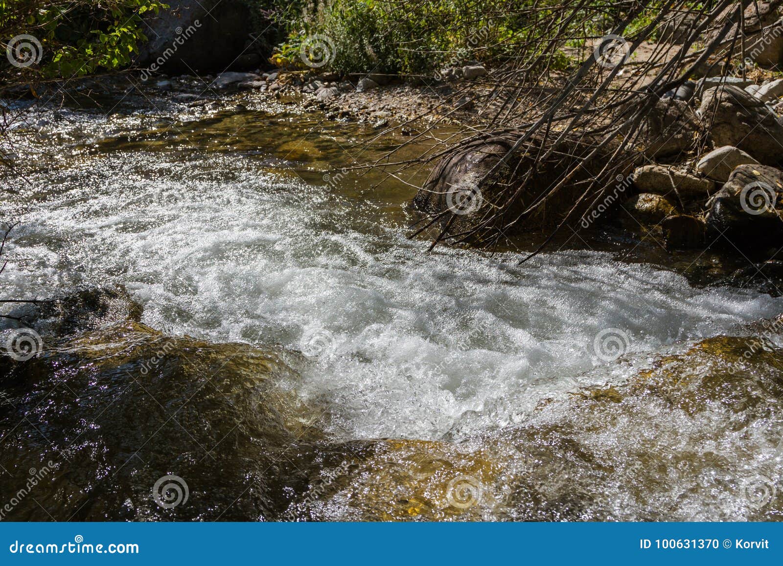 Water in a mountain stream stock photo. Image of green - 100631370