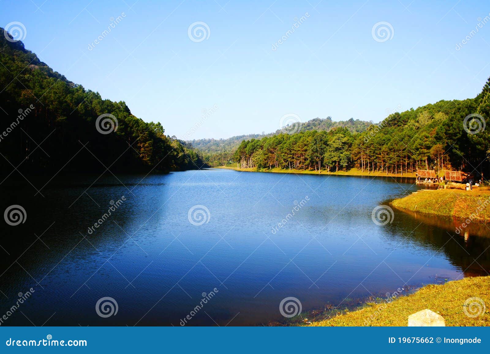 Water, Mountain Views and Pine Garden. Stock Photo - Image of meadow ...