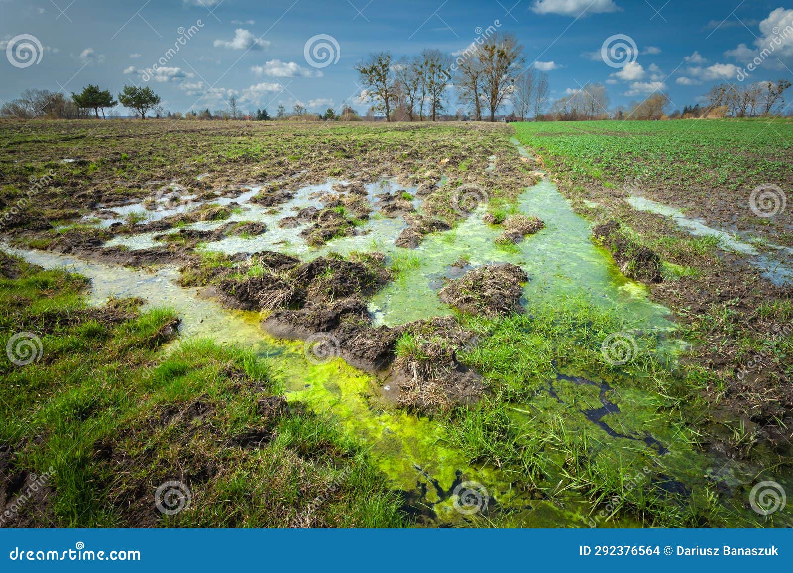 Water with Mud on a Farm Field Stock Photo - Image of dirty, dirt ...